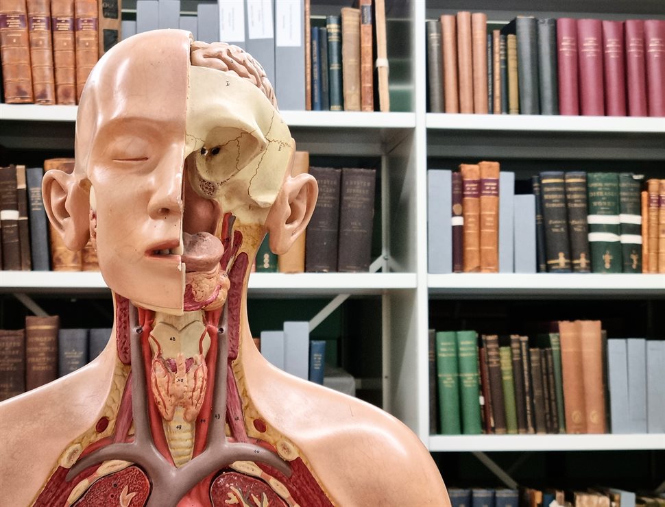 Deadly diseases-Heritage